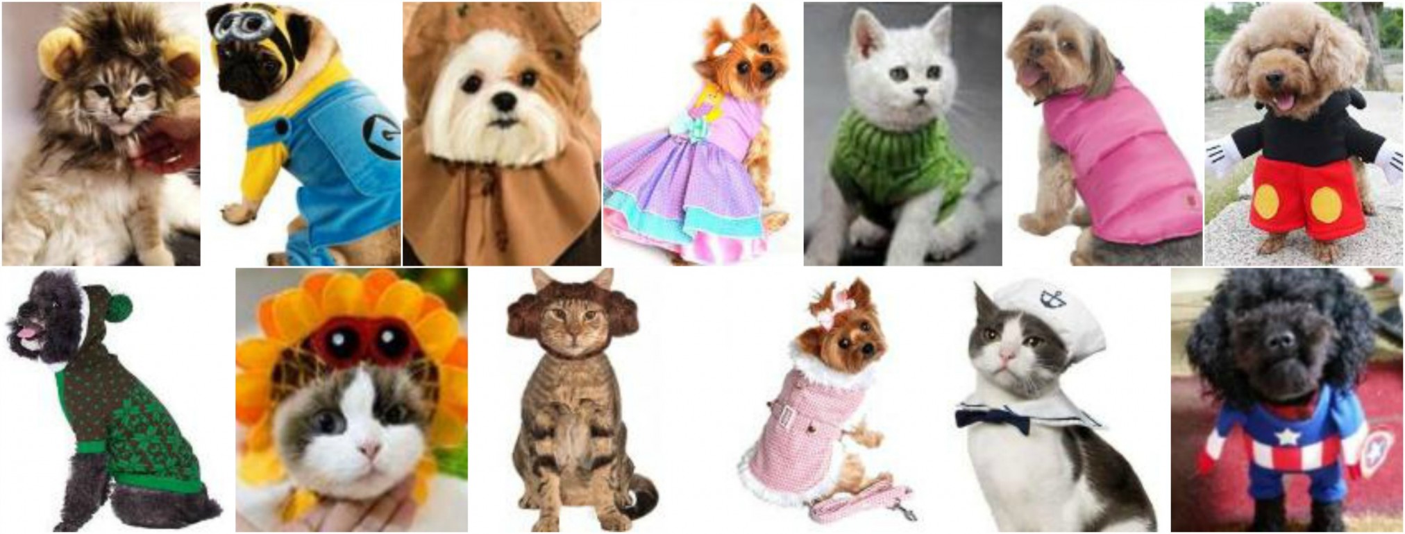 Happy National Dress Up Your Pet Day! - Mom Does Reviews