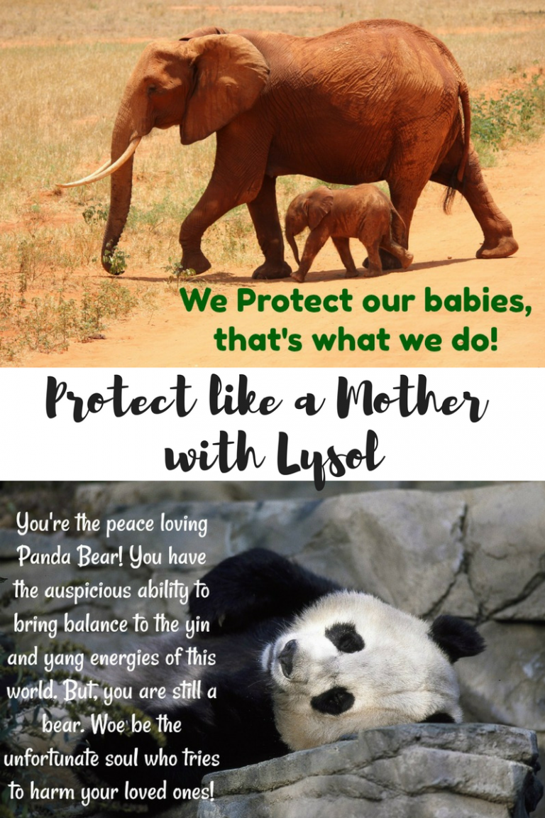 How do You Protect Like a Mother? Use Lysol to Keep them Safe! # ...