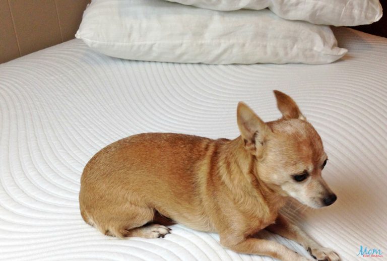 10 Tips for Getting a Better Night's Sleep and How a Tomorrow Sleep ...