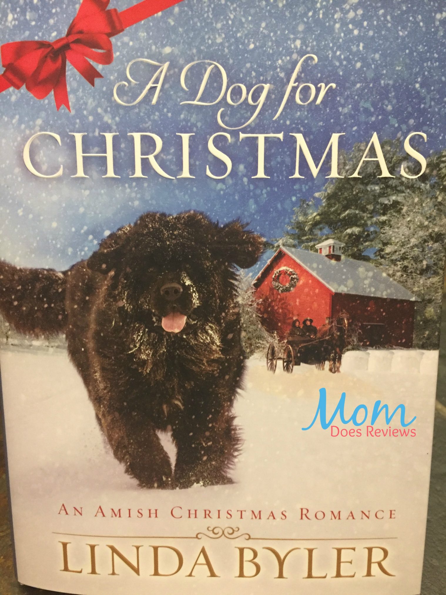 Give a Great Book From Skyhorse Publishing This Christmas # ...