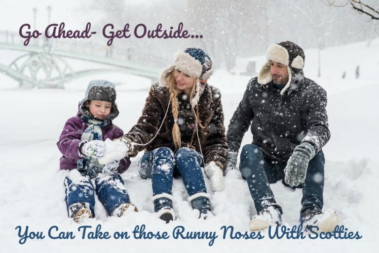 Take on Cold & Flu Season With Scotties! Give Comfort, Get Scotties ...