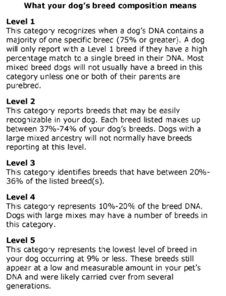 How to Get In Tune with Your Dog with the Help of DNA My Dog - Mom Does ...