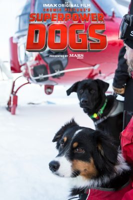 Watch the Teaser Trailer for IMAX® documentary Superpower Dogs ...