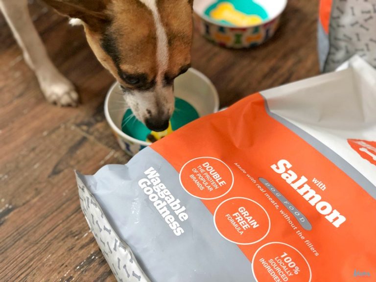 Mighty Munch is the Protein Rich Dog Food Your Dog Craves - Mom Does ...