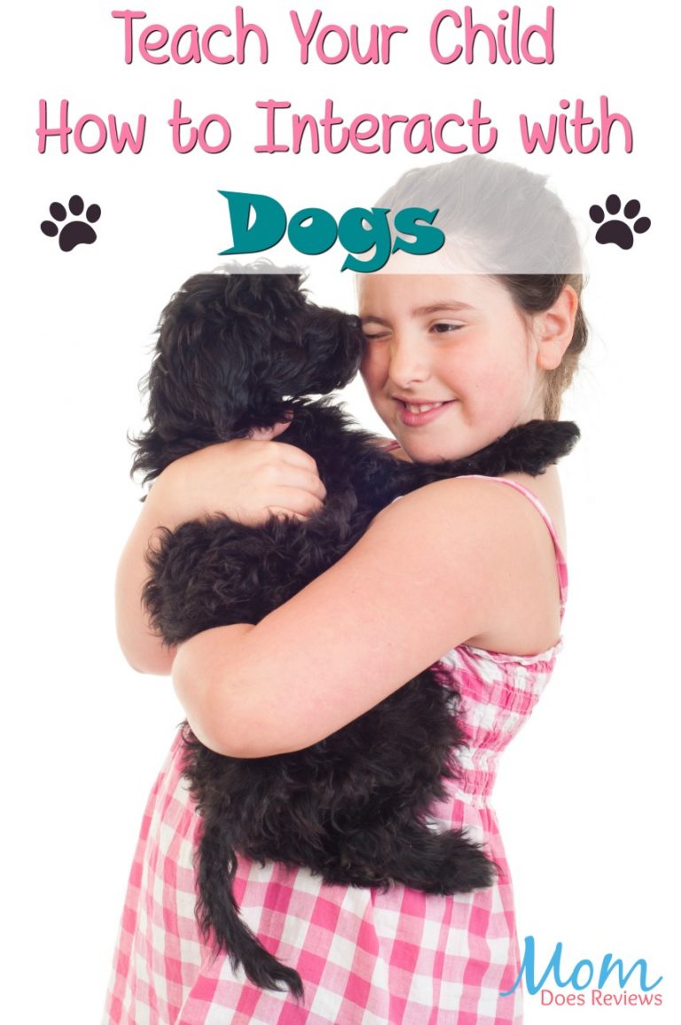 Kids and Canines: Teaching Your Child How to Interact with Dogs - Mom ...