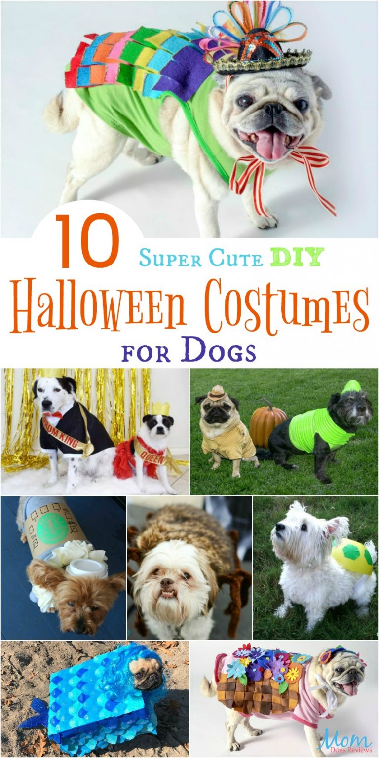 10 Super Cute DIY Halloween Costumes for Dogs - Mom Does Reviews