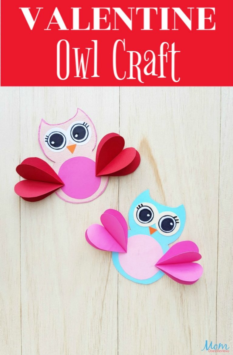 Adorable Valentine’s Day Owl Craft for Kids - Mom Does Reviews
