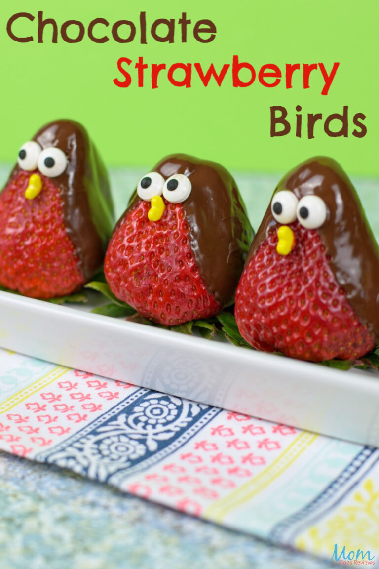 Fun & Yummy Chocolate Strawberry Birds - Mom Does Reviews