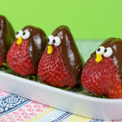 Fun & Yummy Chocolate Strawberry Birds - Mom Does Reviews