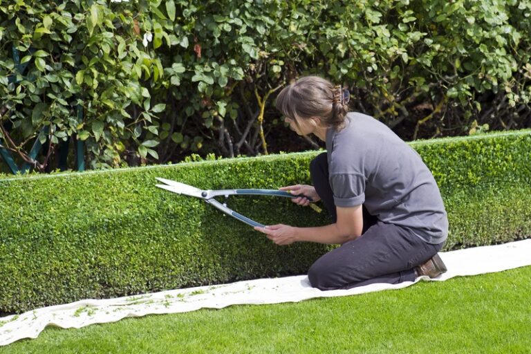 Garden DIY Projects That'll Really Pay Off - Mom Does Reviews