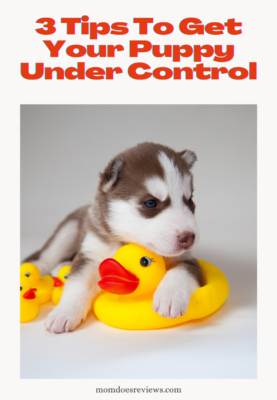 3 Tips To Get Your Puppy Under Control - Mom Does Reviews