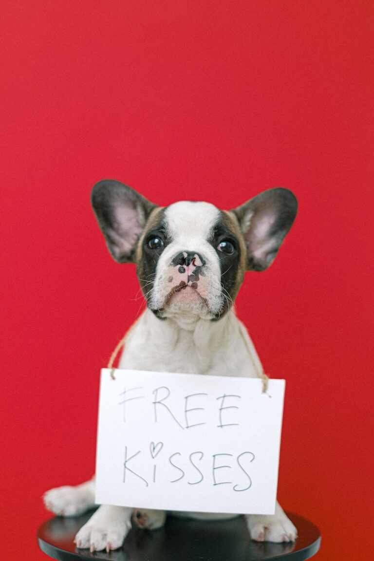 8 Signs You’re Ready to Get a Dog for your Family - Mom Does Reviews