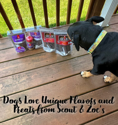 Healthy and Unique Flavored Dog Treats from Scout & Zoe’s # ...