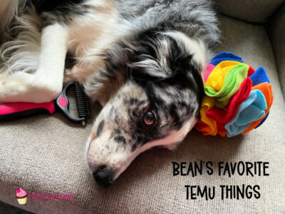 Pamper your Pups with Pet Supplies from TEMU #SpringintoSummerFun - Mom ...