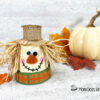 Dollar Store Clay Pot Scarecrow Craft - Mom Does Reviews