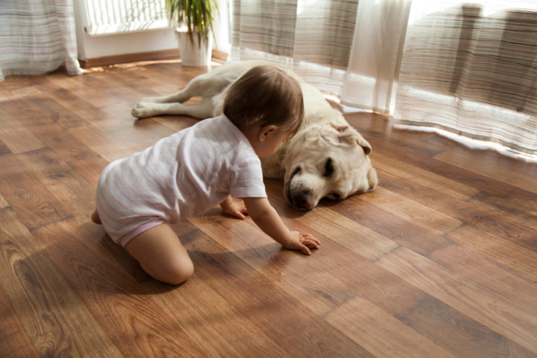 The Essential Baby Safety Checklist - Mom Does Reviews