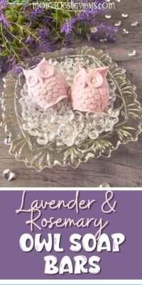 DIY Lavender and Rosemary Owl Soap Bars - Mom Does Reviews