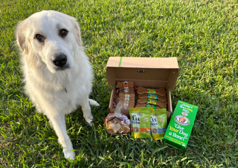 Shower Your Dogs with Love with Nature's Animals Valentine Treats # ...