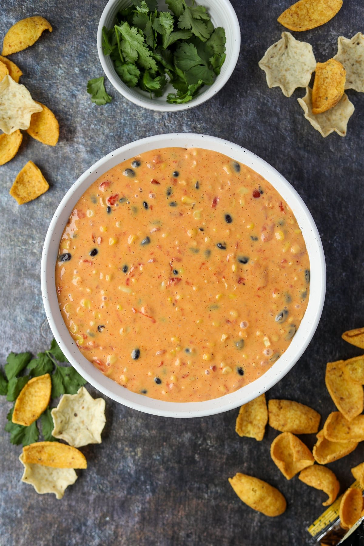 20+ Appetizing Hot Dip Recipes for Your Next Party - Mom Does Reviews