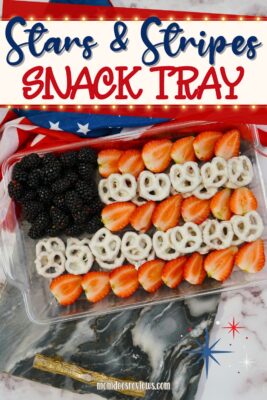 Stars and Stripes Snack Tray - Mom Does Reviews
