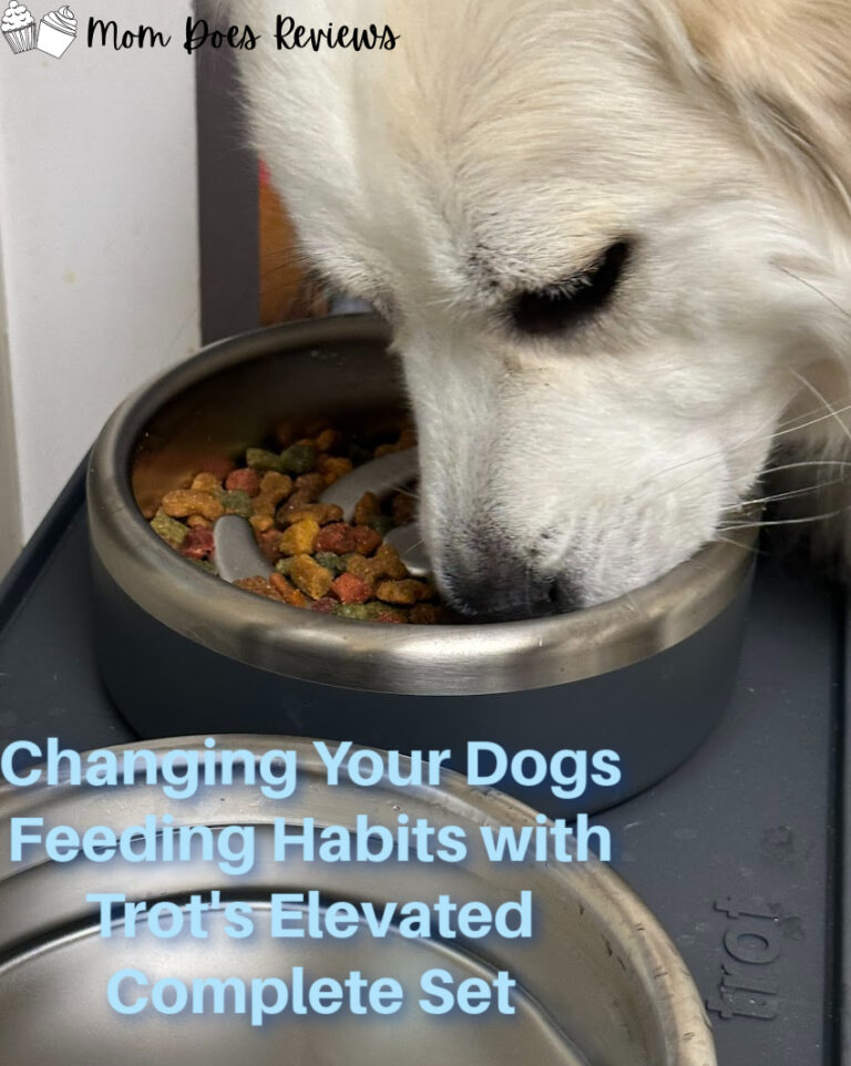 Feeding System Perfect for Large Breed Dogs - Trot's Elevated Complete ...