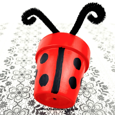 15 Spring Bug Crafts for Kids - Mom Does Reviews