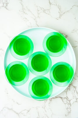 Watermelon Jello Magic Cups Recipe - Mom Does Reviews